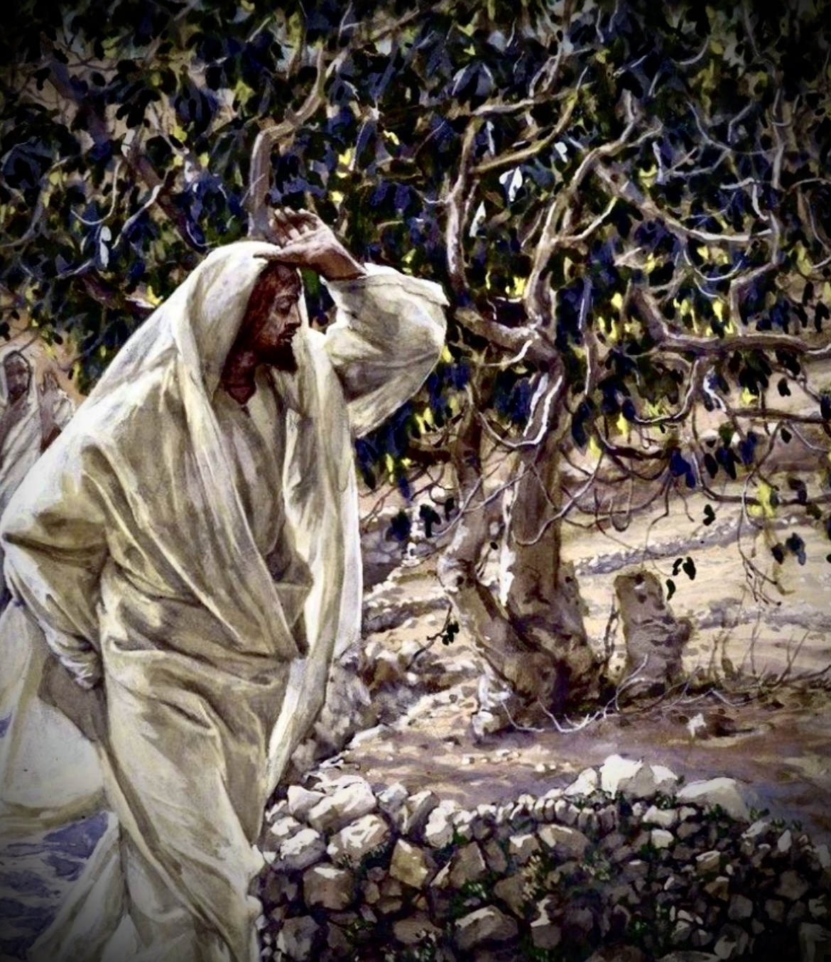 The Fig Tree Parable Part Three – Deep Well Bible Studies