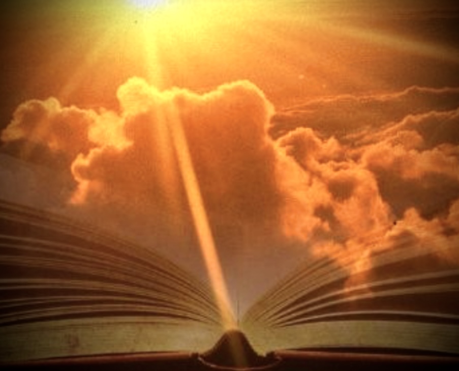 Contentment – Deep Well Bible Studies